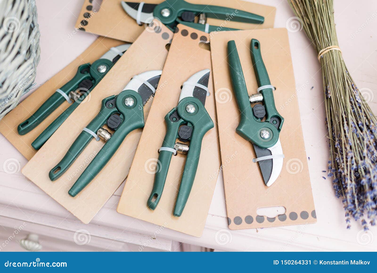 Cut Dry Lavender Inflorescences and a Garden Pruner. Florist Tool Kit ...