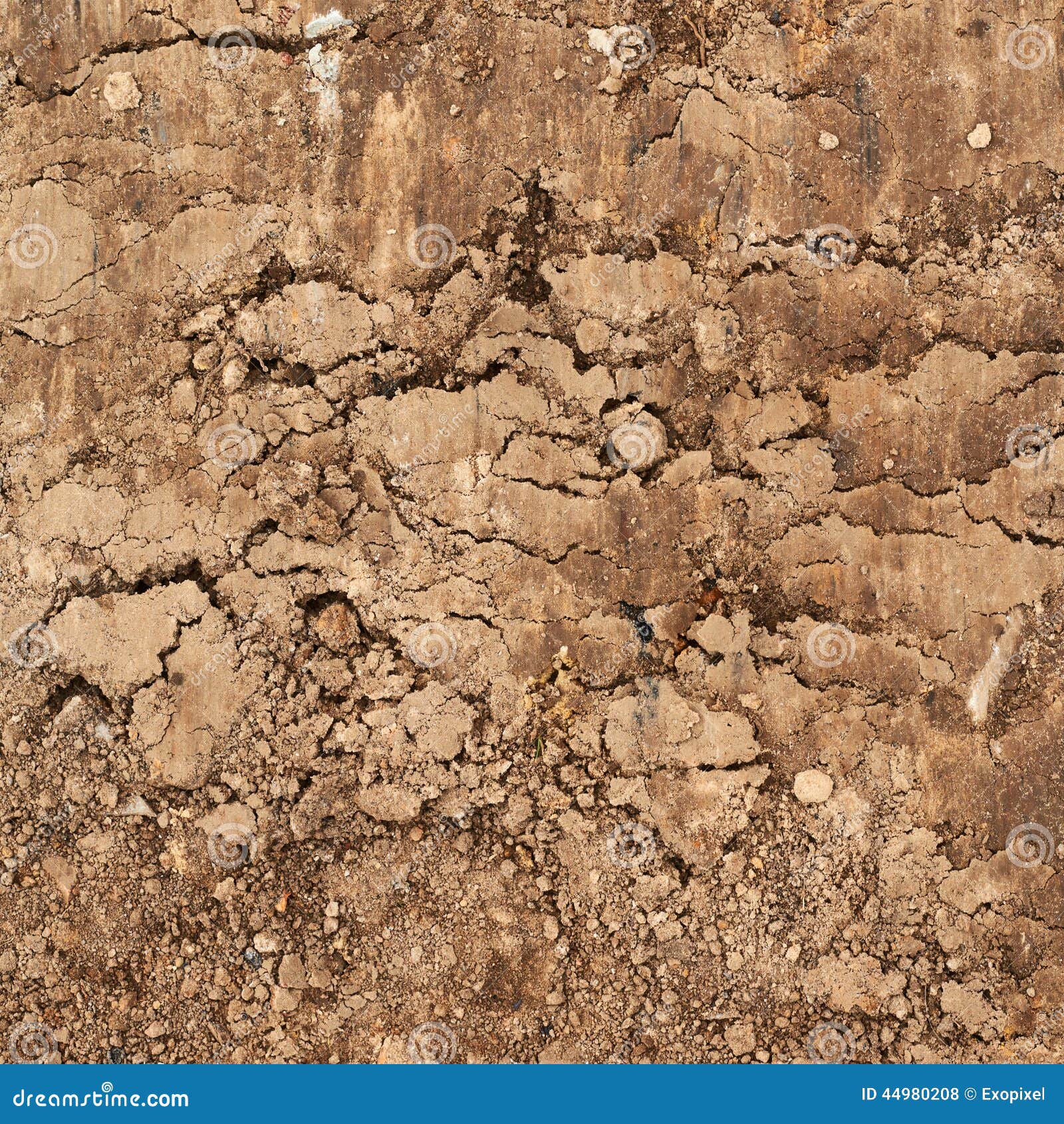 Cut of the earth soil stock photo. Image of environment - 44980208