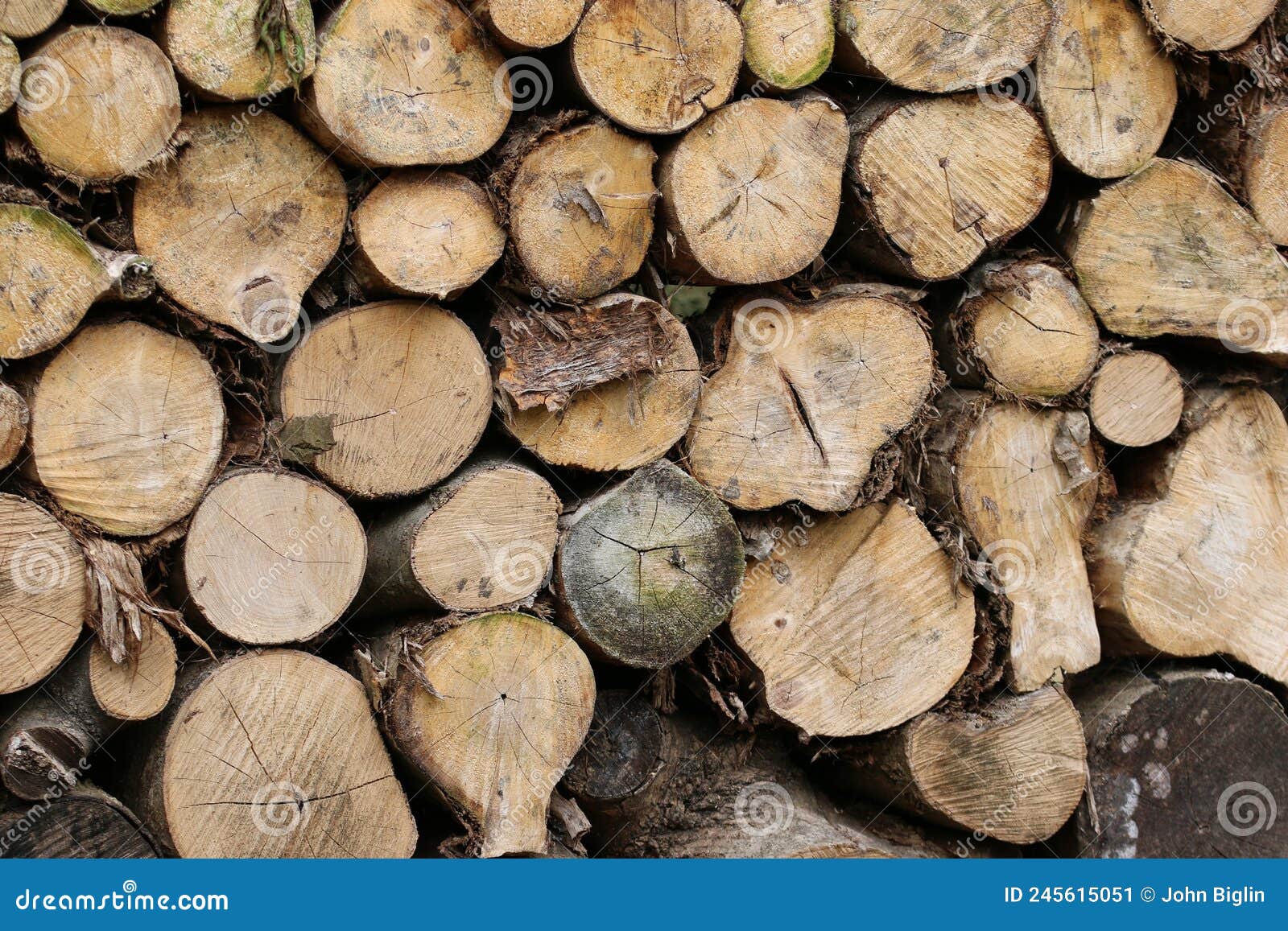 Cut Ends of Logs in a Stack Stock Image - Image of wood, tree: 245615051
