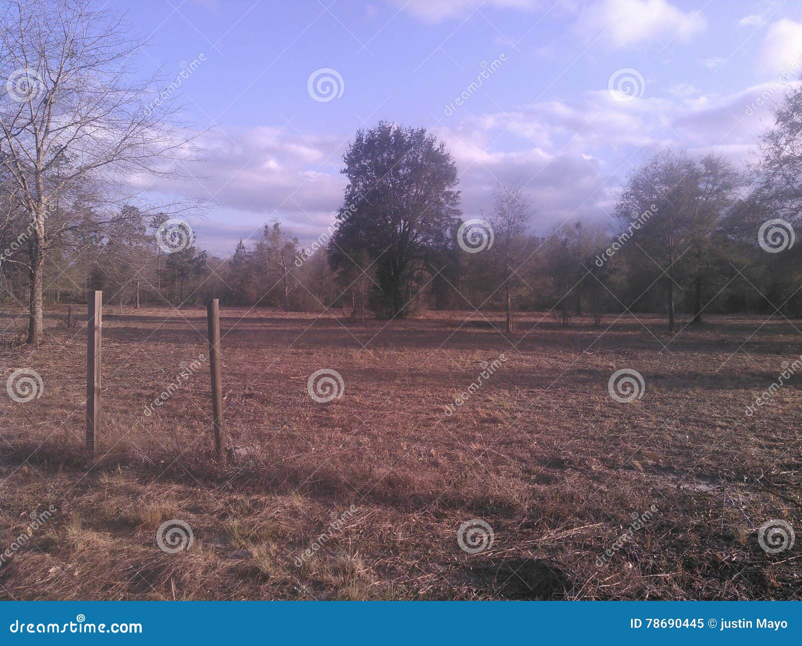 Cut field stock image. Image of ranch, field, farm - 78690445