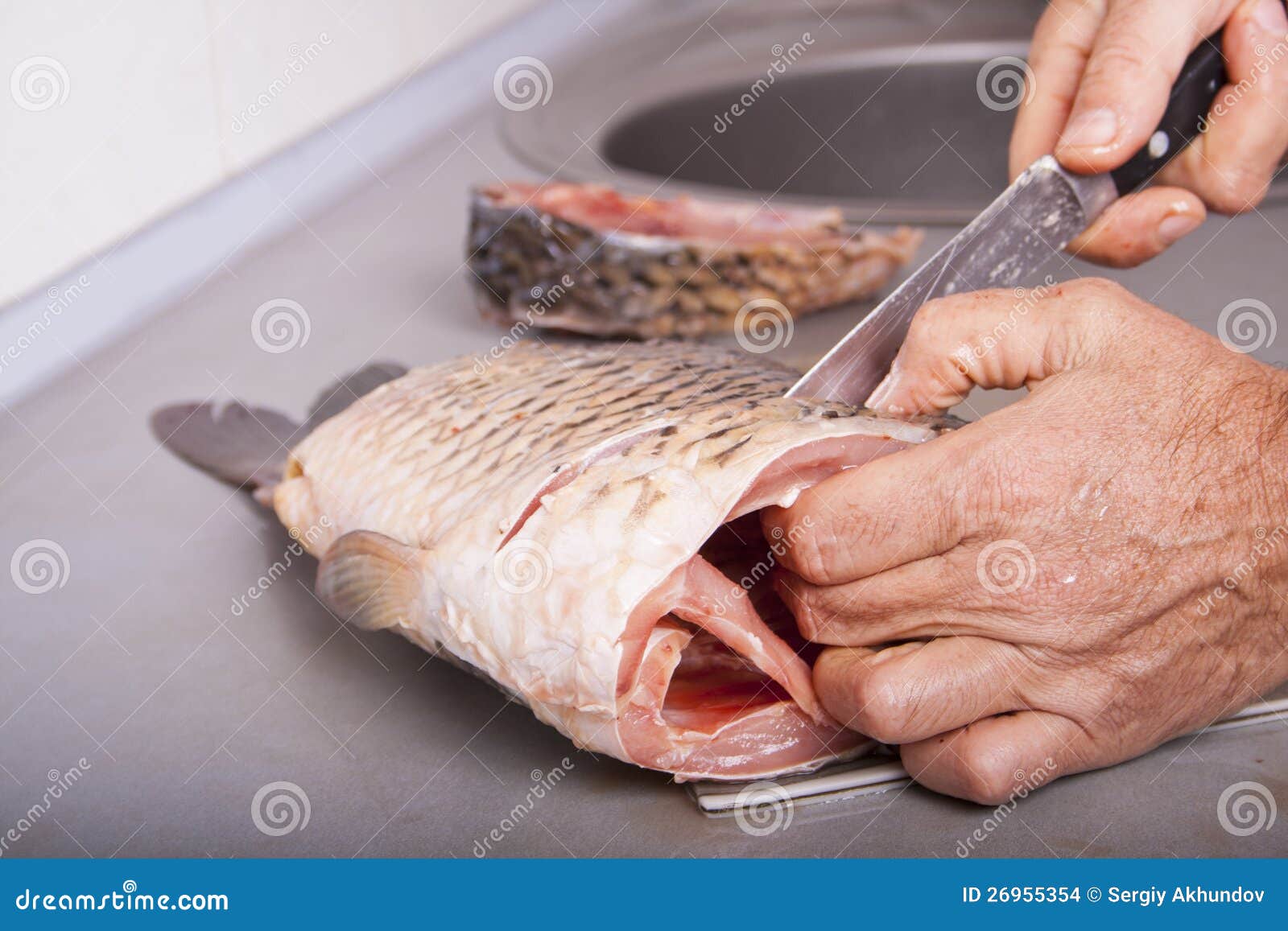Cut fish stock photo. Image of domestic, feline, portrait - 26955354