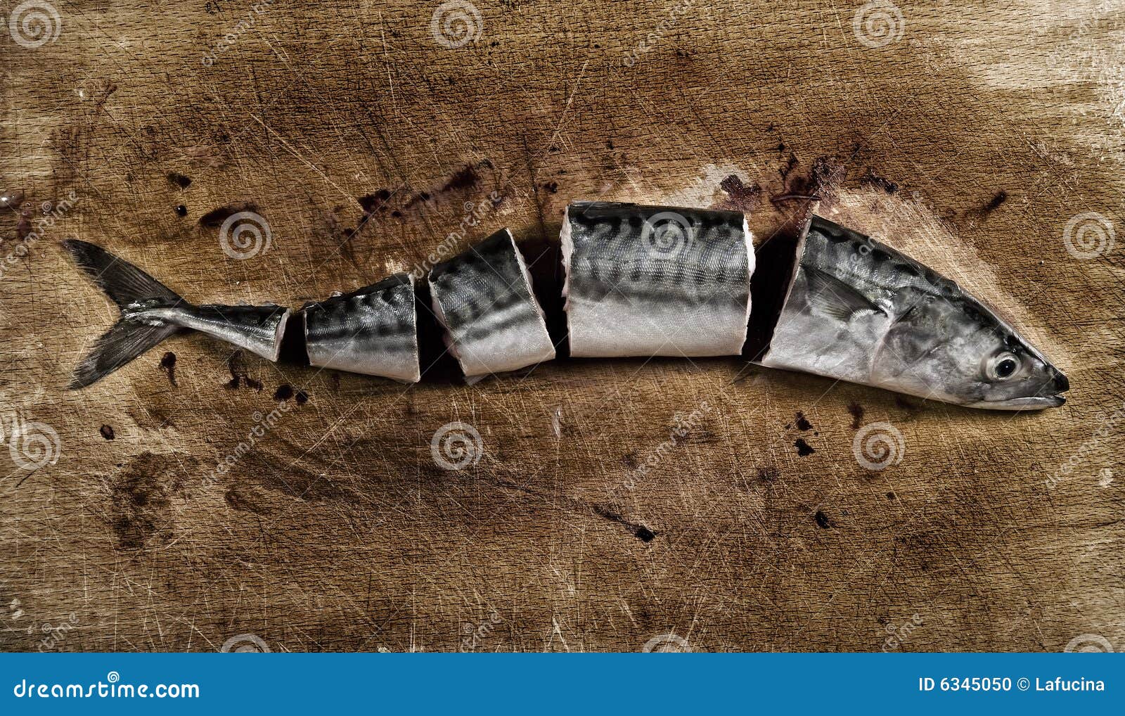 Cut fish stock photo. Image of nature, food, chopping - 6345050