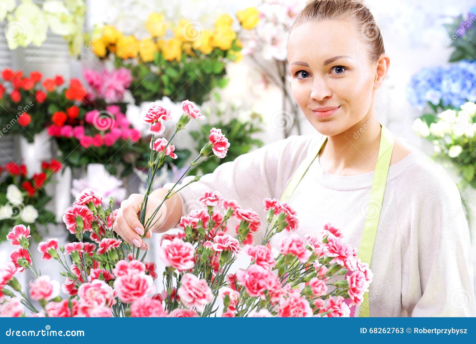 Cut flowers, carnations stock image. Image of holiday - 68262763