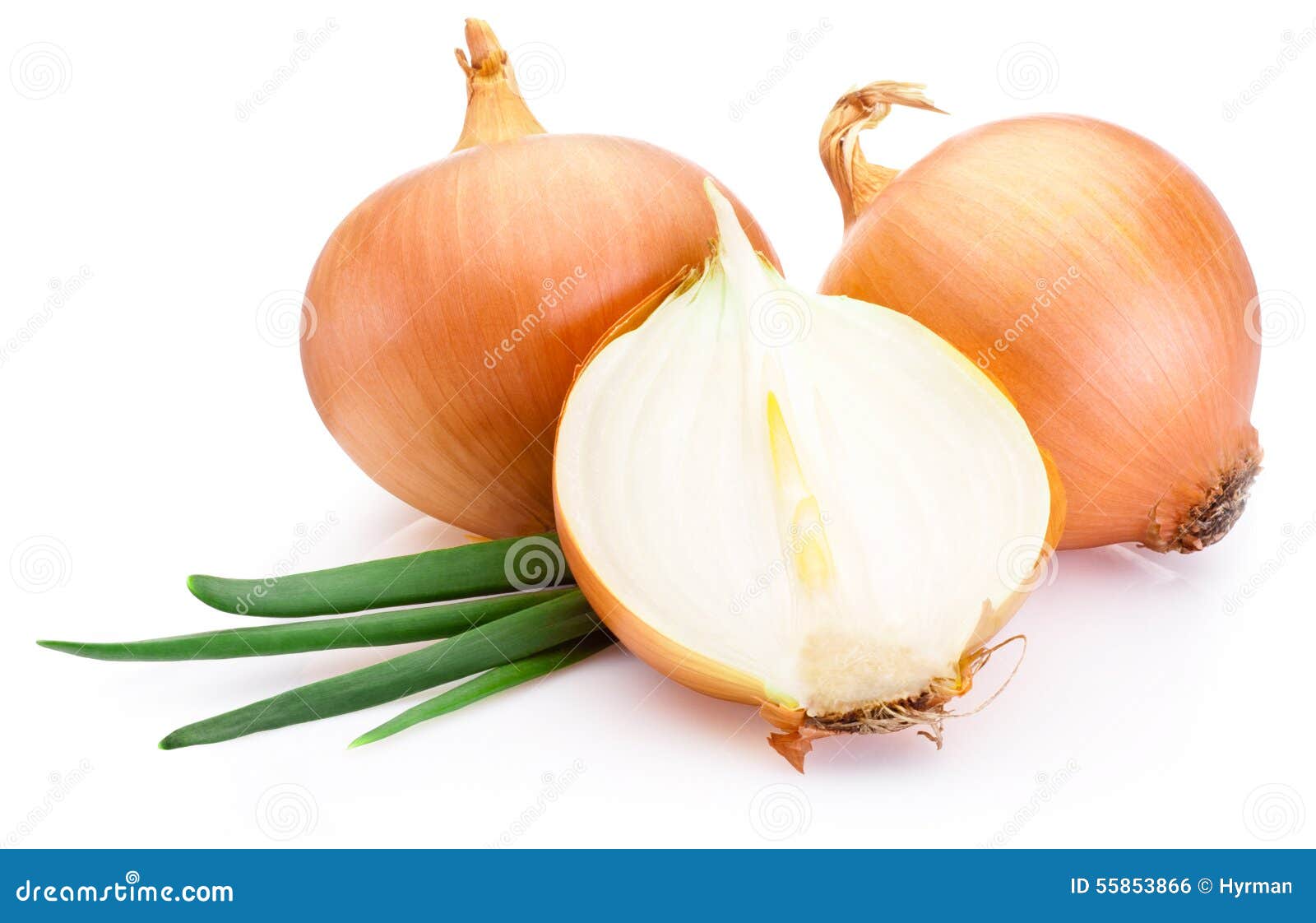 White Onion Macro Background Stock Photography | CartoonDealer.com ...