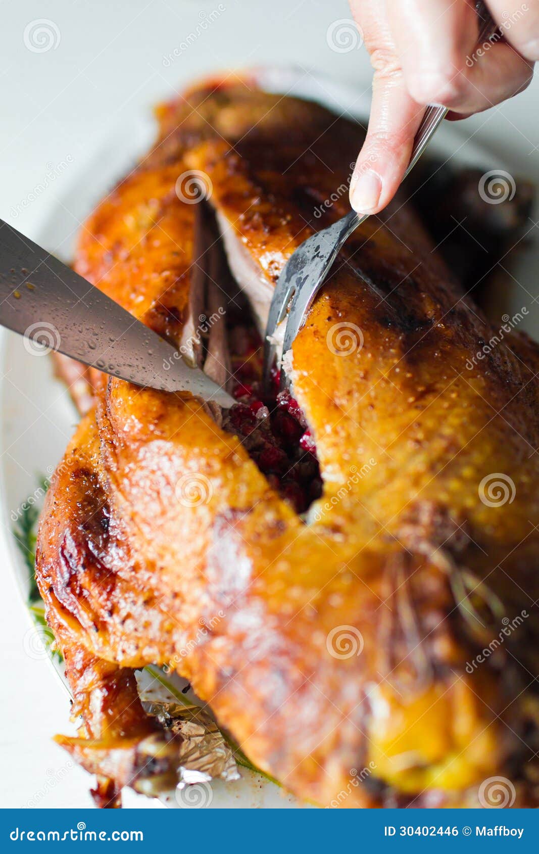 Cut fresh chicken stock photo. Image of meat, decoration - 30402446