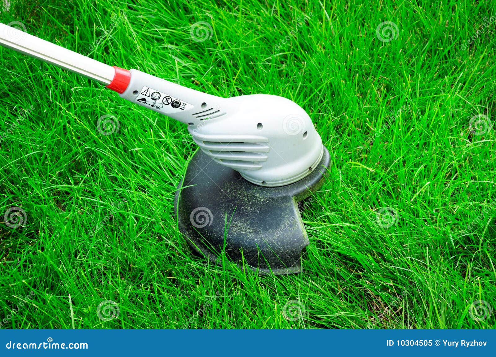 Cut Grass stock image. Image of care, green, field, grass - 10304505