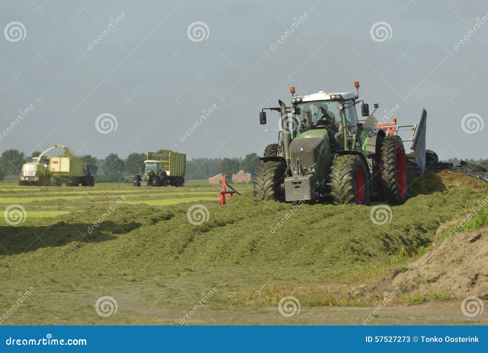 Cut Grass Chopping and Silage with Tractors Stock Image - Image of ...