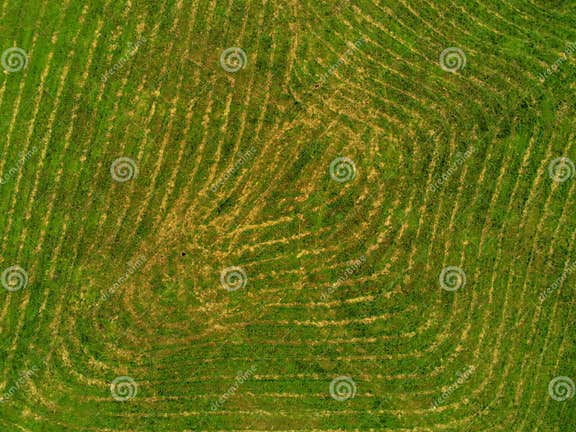 Cut Grass Pattern in a Field. Aerial Top View Stock Photo - Image of ...