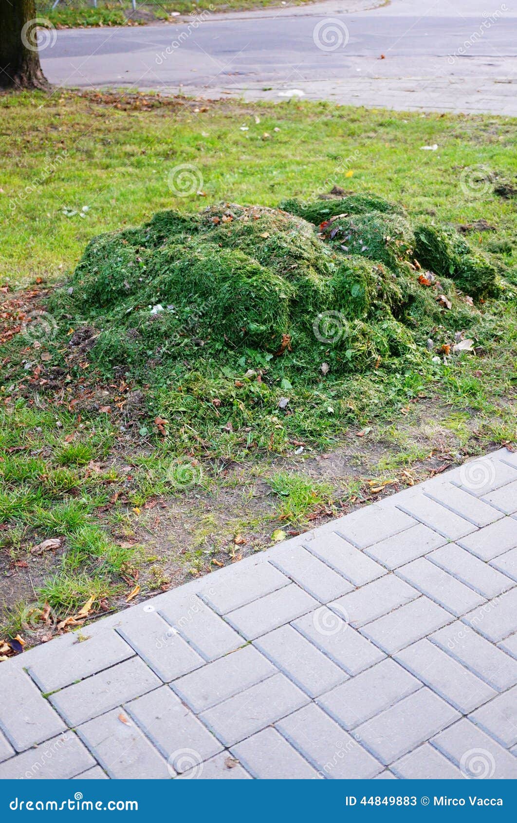 Cut grass stock image. Image of landscape, landscaping - 44849883