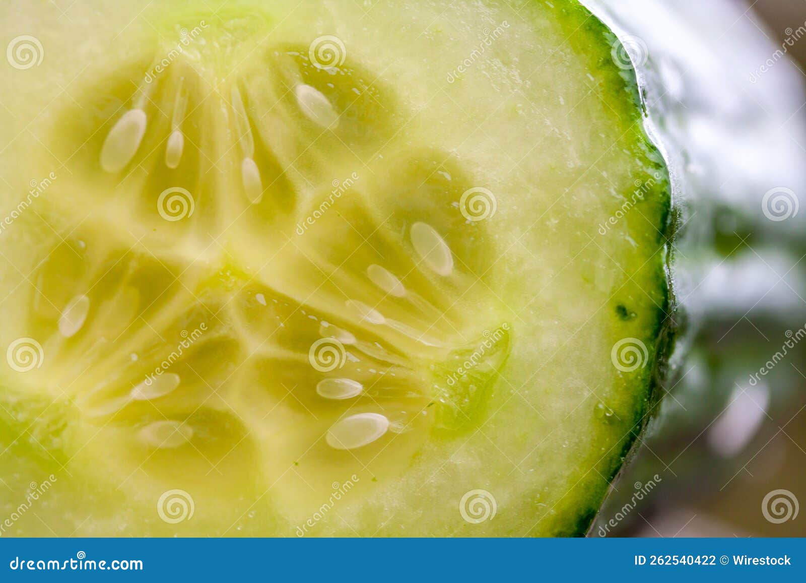 Cut green cucumber texture stock photo. Image of seeds - 262540422