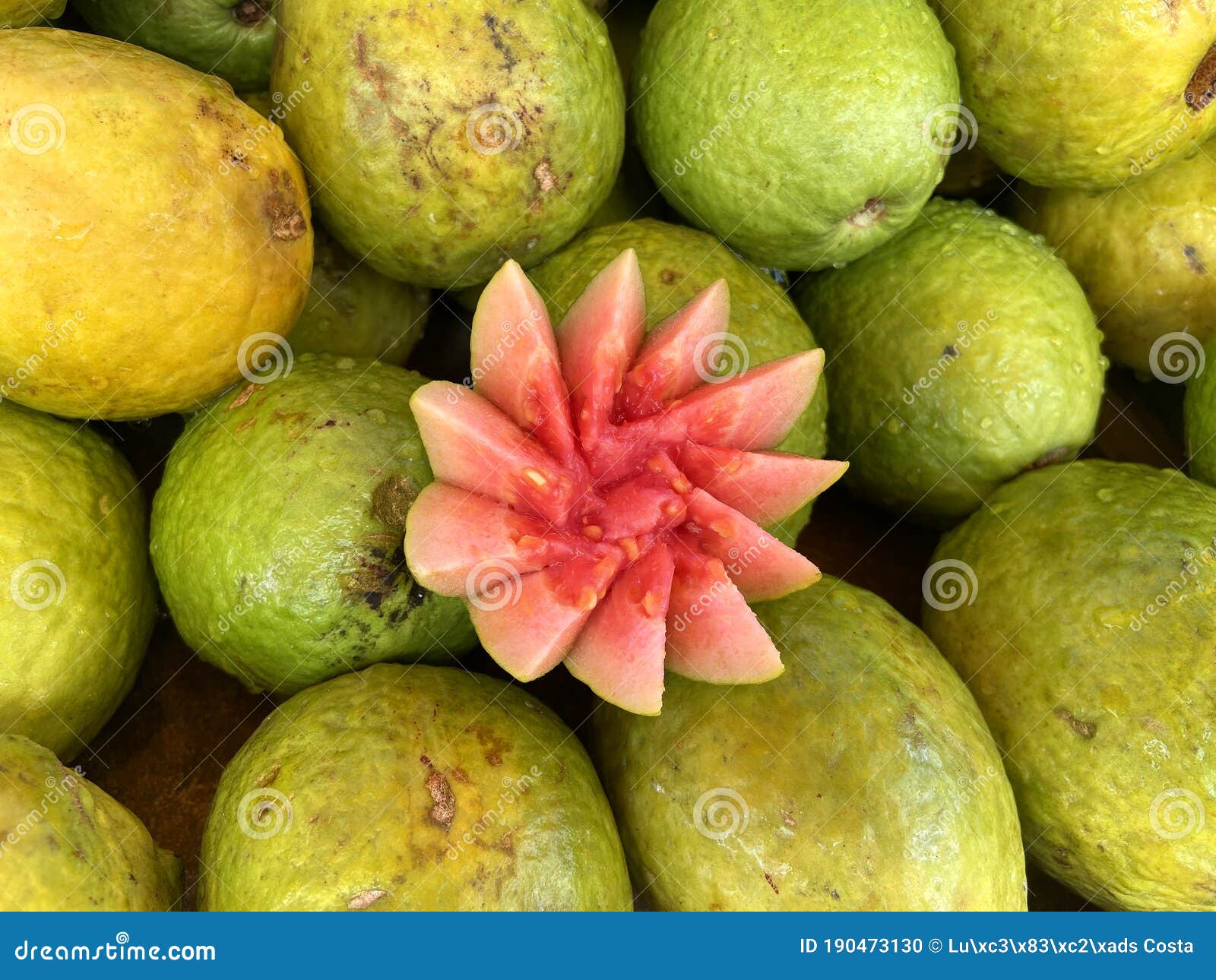 Cut Guava fruit stock photo. Image of vibrant, fresh - 190473130