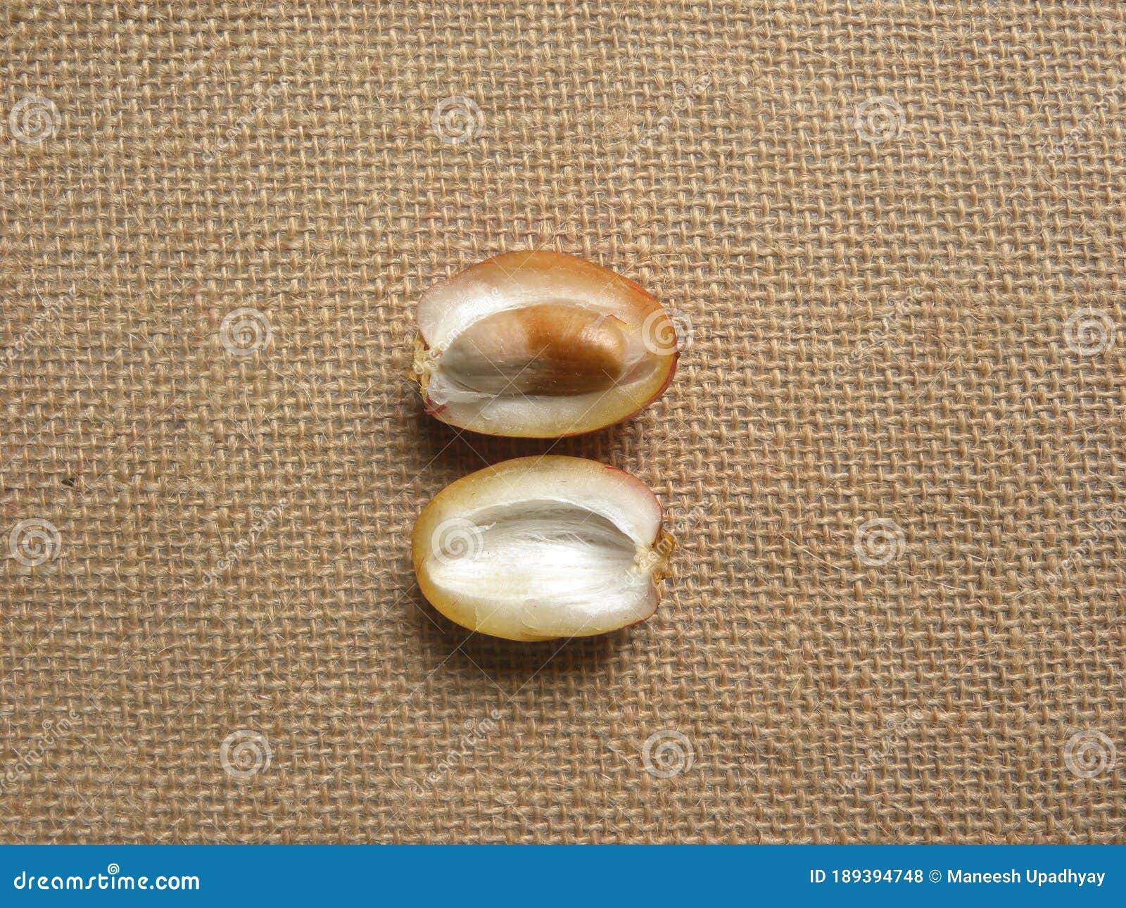 Cut halves of fresh Date stock photo. Image of culinary - 189394748