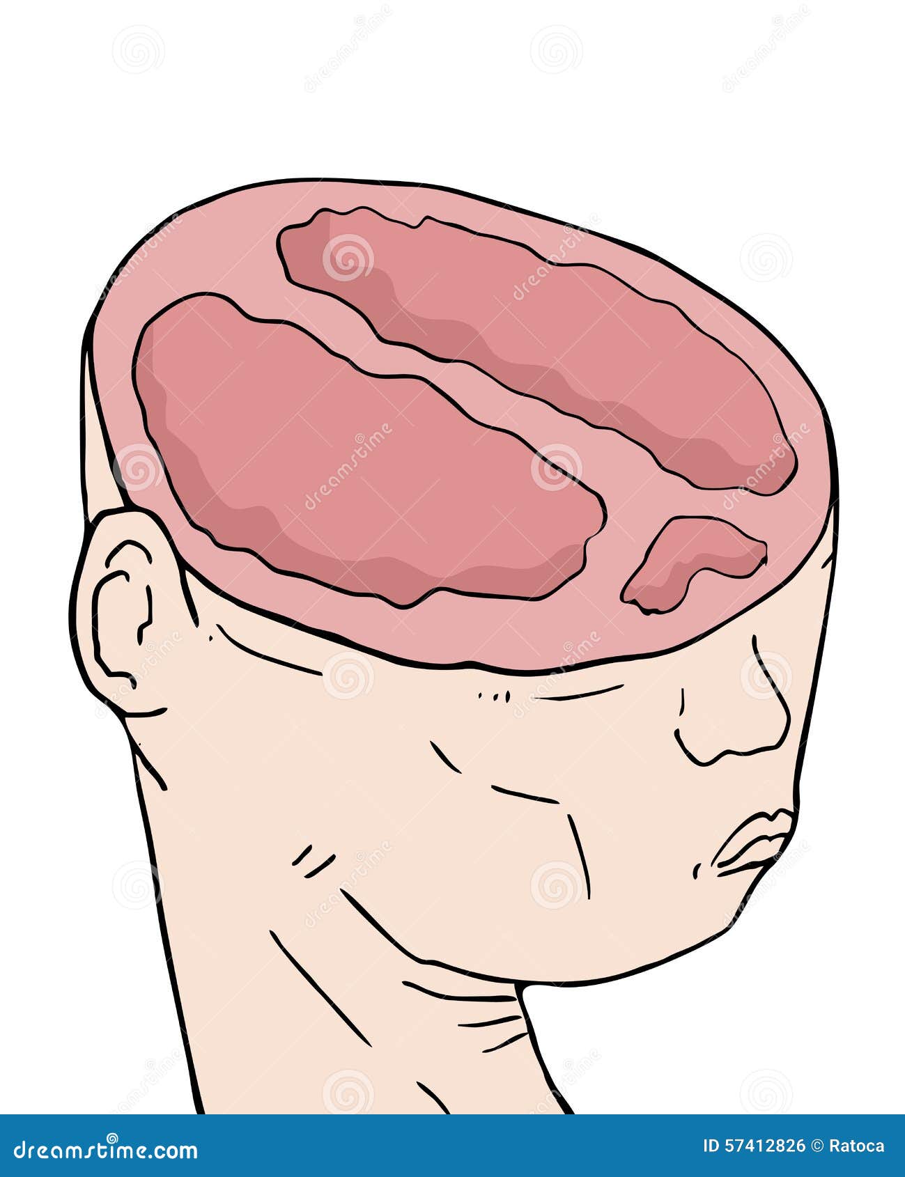 Cut head draw stock vector. Illustration of idea, concept - 57412826