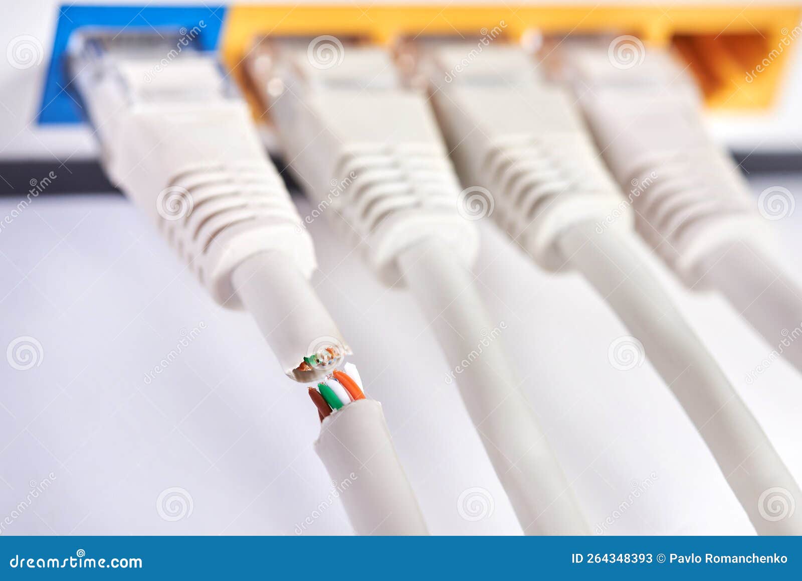 Cut Internet Cables into the Router, Close-up Stock Image - Image of ...