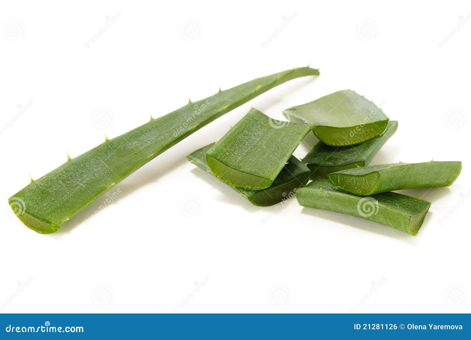 Cut leaf aloe vera stock photo. Image of medicine, healing - 21281126
