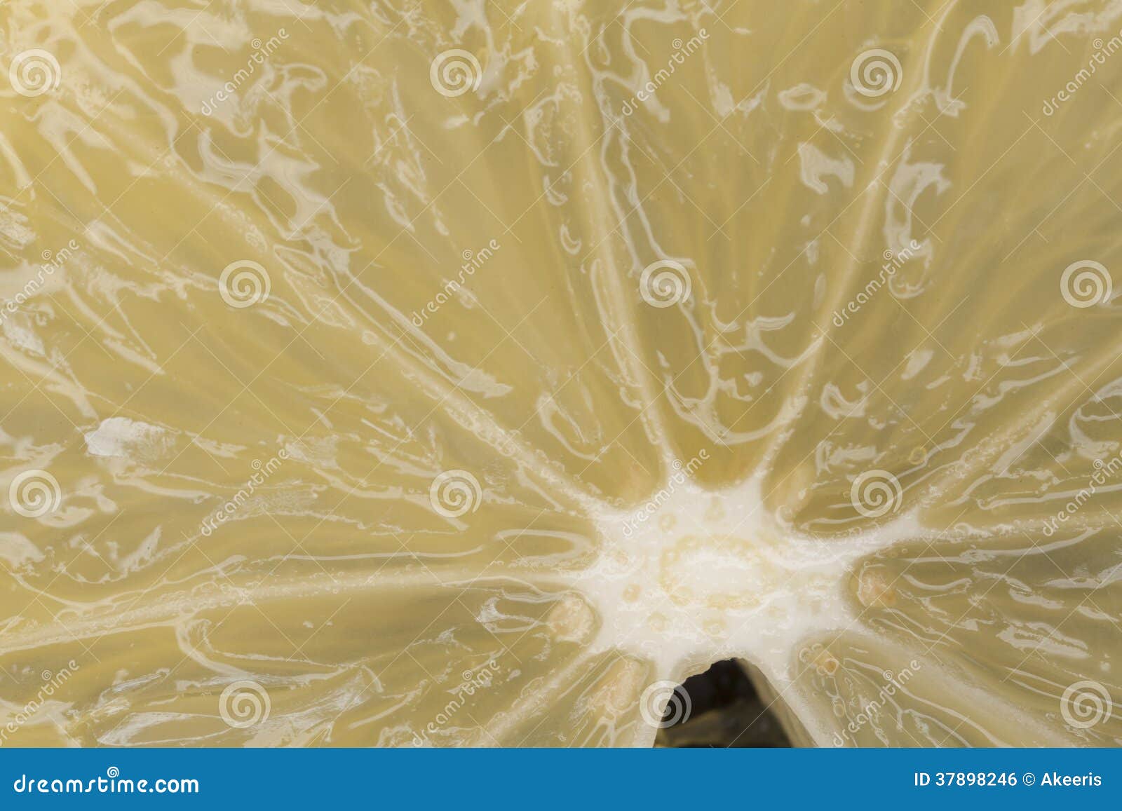 Cut lemon stock photo. Image of yellow, isolated, closeup - 37898246