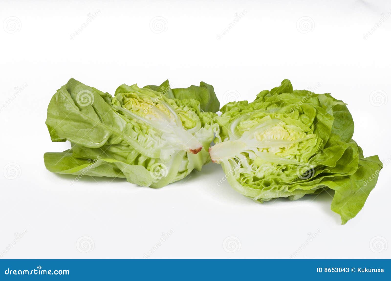 Cut lettuce stock image. Image of healthy, eating, leaf - 8653043