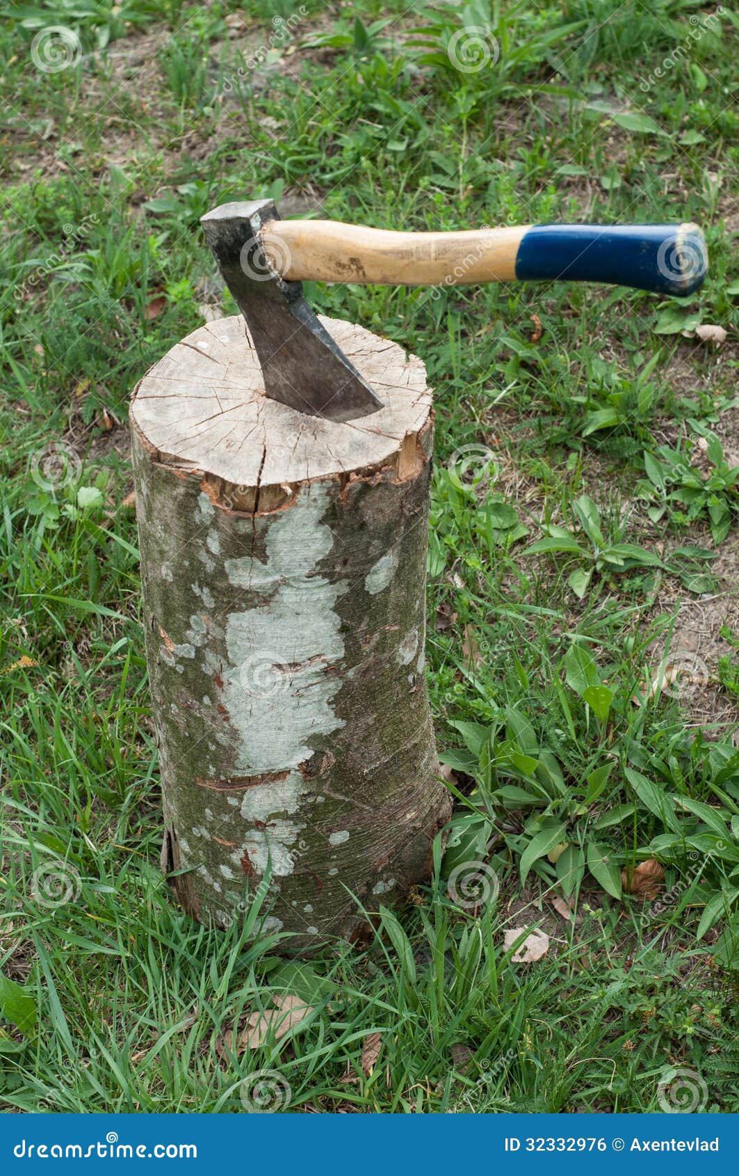 Cut Log Fire Wood and Old Axe, Environmental Concept Stock Photo ...