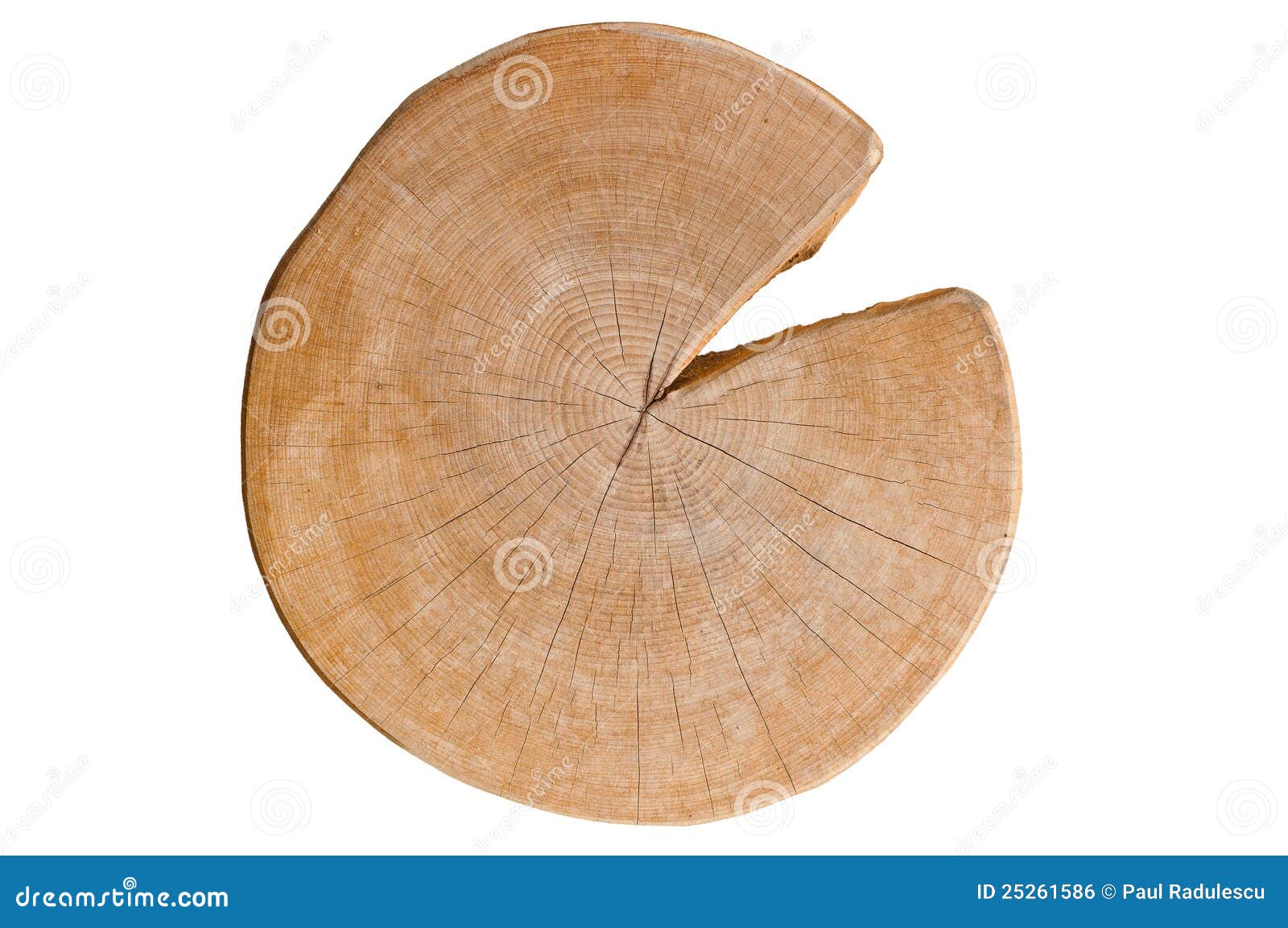 Cut Log Showing Tree Rings and Cracks Stock Photo - Image of abstract ...