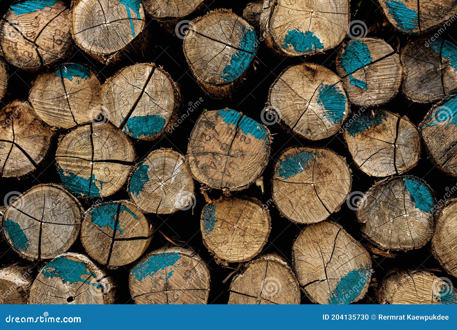 Cut Logs with Color of Background Stock Photo - Image of brown ...