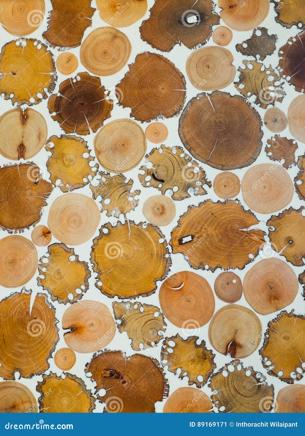 Cut Logs Filled with Epoxy Resin Stock Image - Image of natural ...