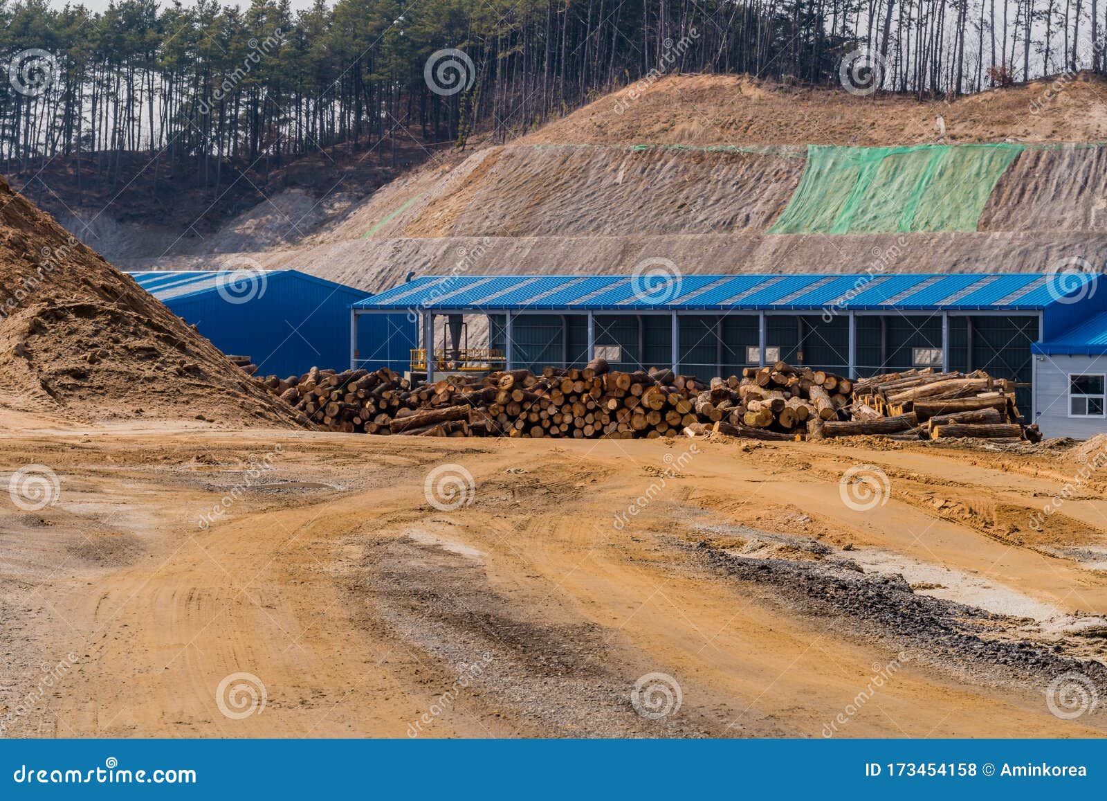 Cut logs at logging camp stock photo. Image of forestry - 173454158