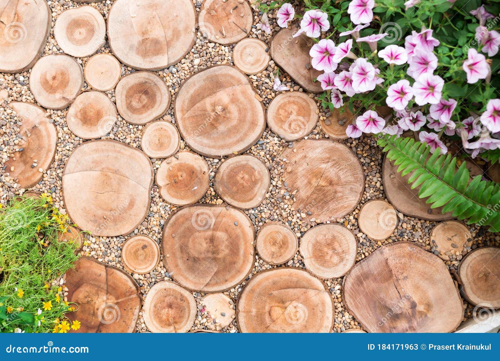 Cut Logs, Path, Garden Decorative Stock Image - Image of home, nature ...