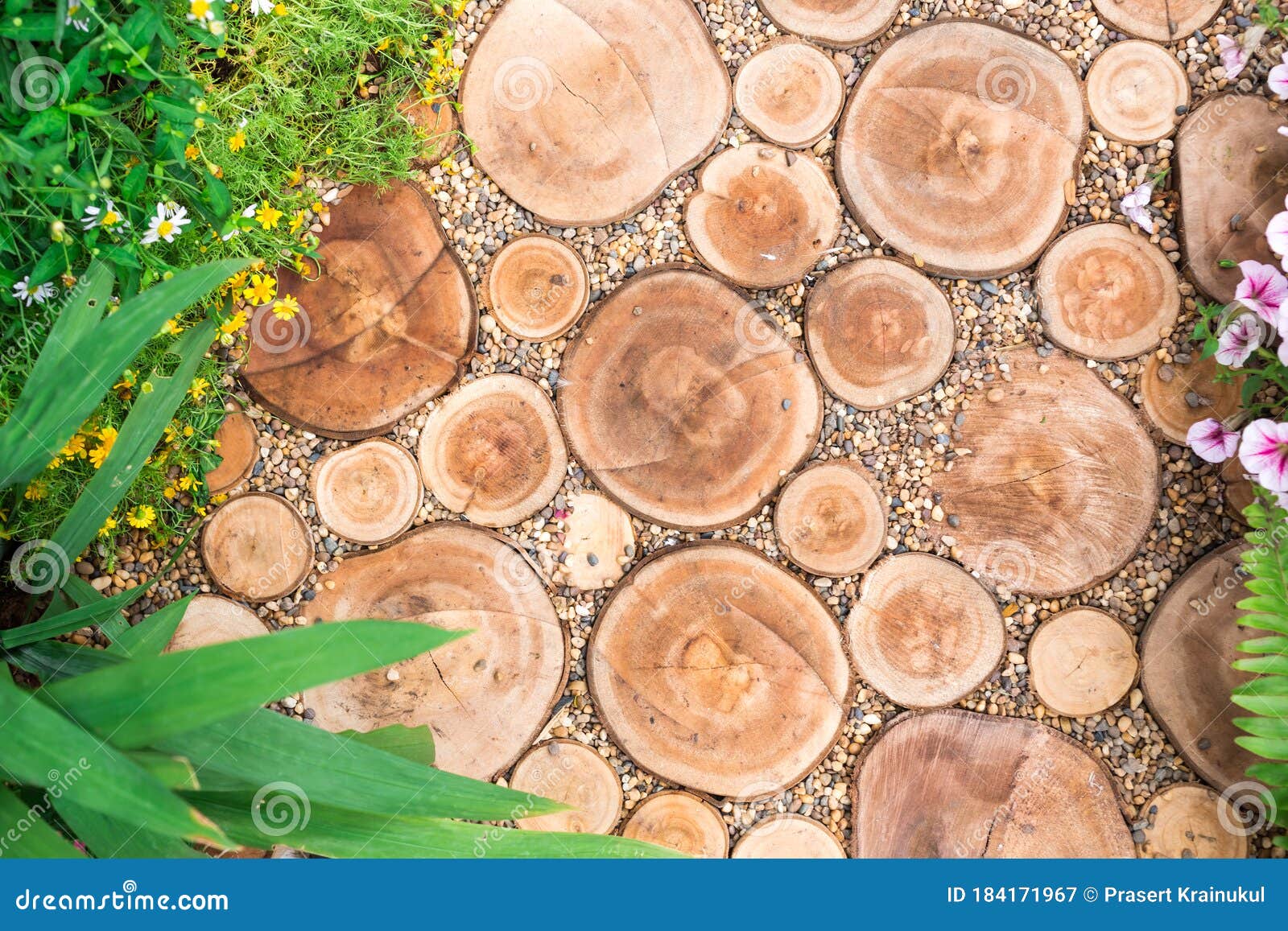 Cut Logs, Path, Garden Decorative Stock Image - Image of backyard ...