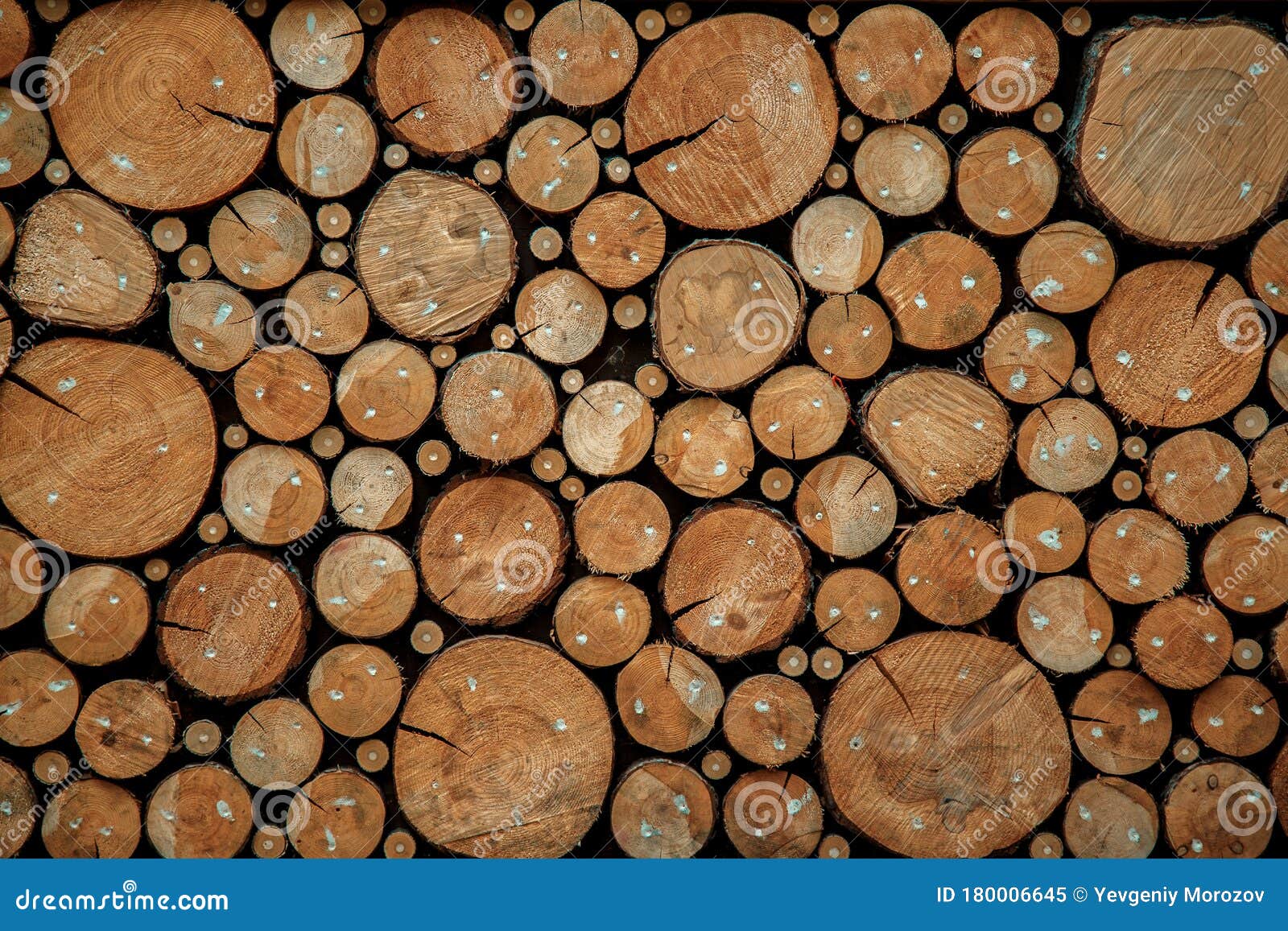 Cut Logs Piled One on Top of Another Stock Image - Image of crack ...
