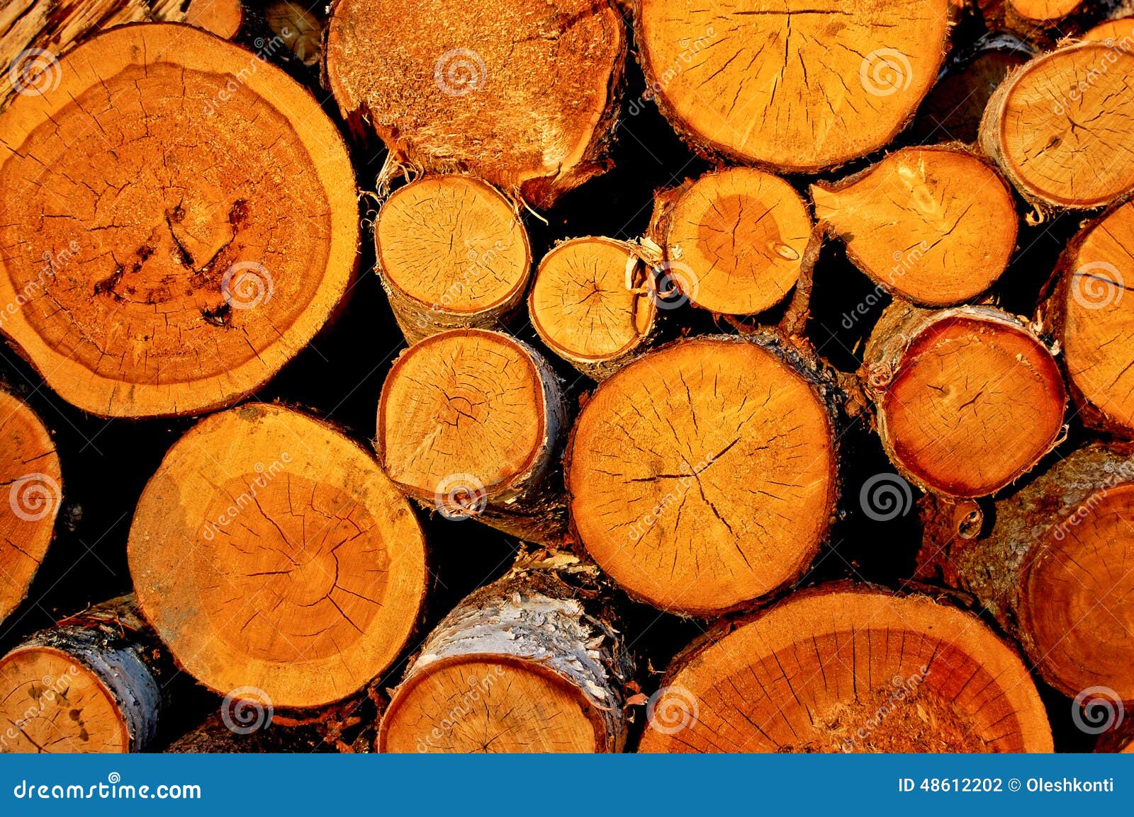 The cut logs stock photo. Image of forest, outdoors, technology - 48612202