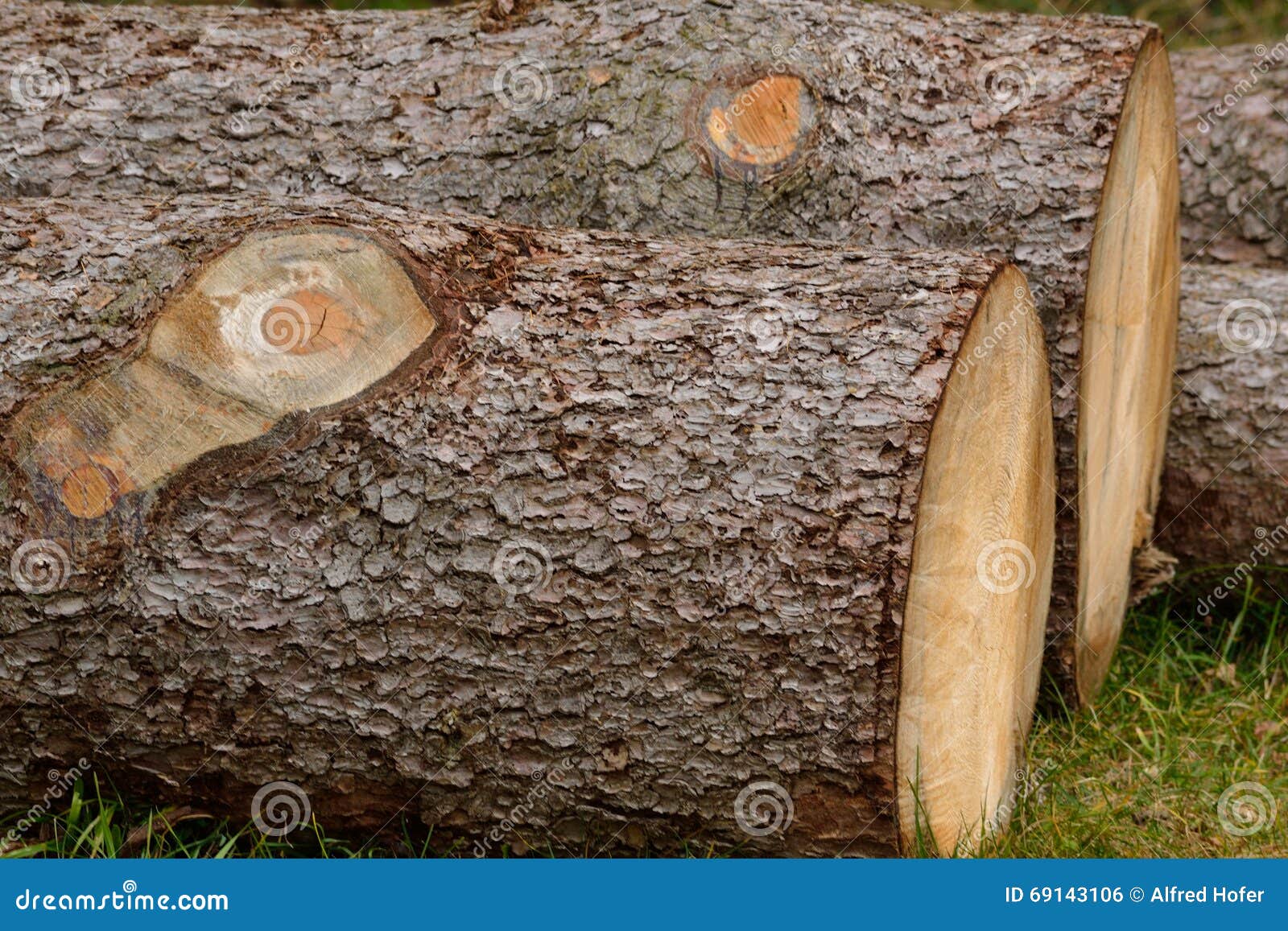 Cut logs stock photo. Image of material, logs, season - 69143106