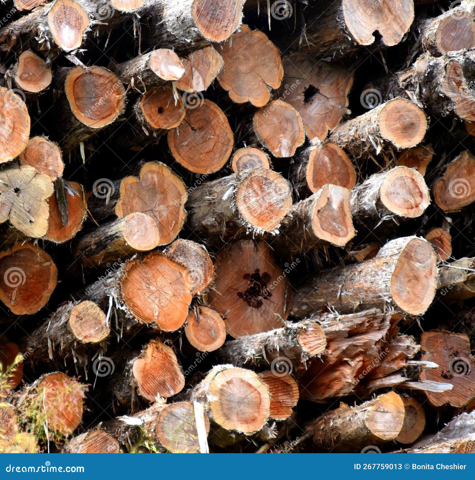 Cut Lumber in Large Stack stock image. Image of large - 267759013
