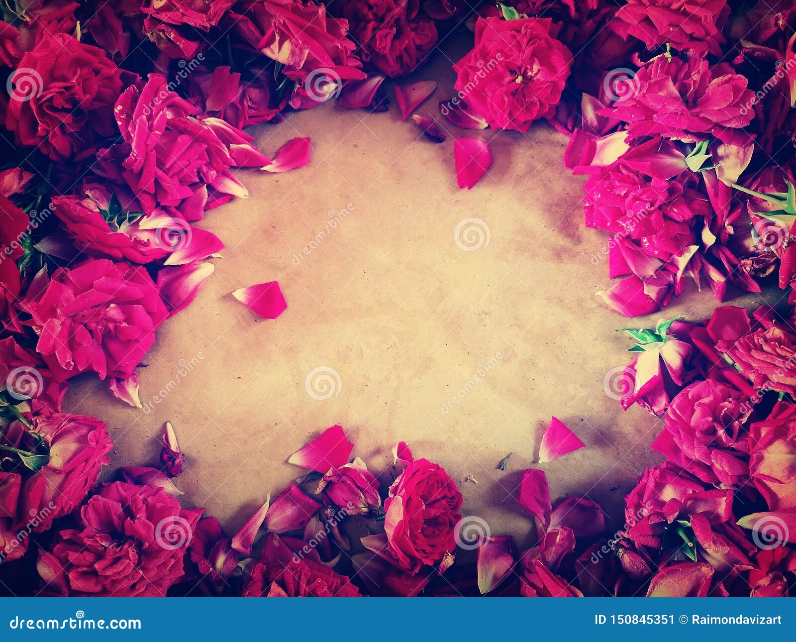 Red rose flowers on paper stock image. Image of roses - 150845351