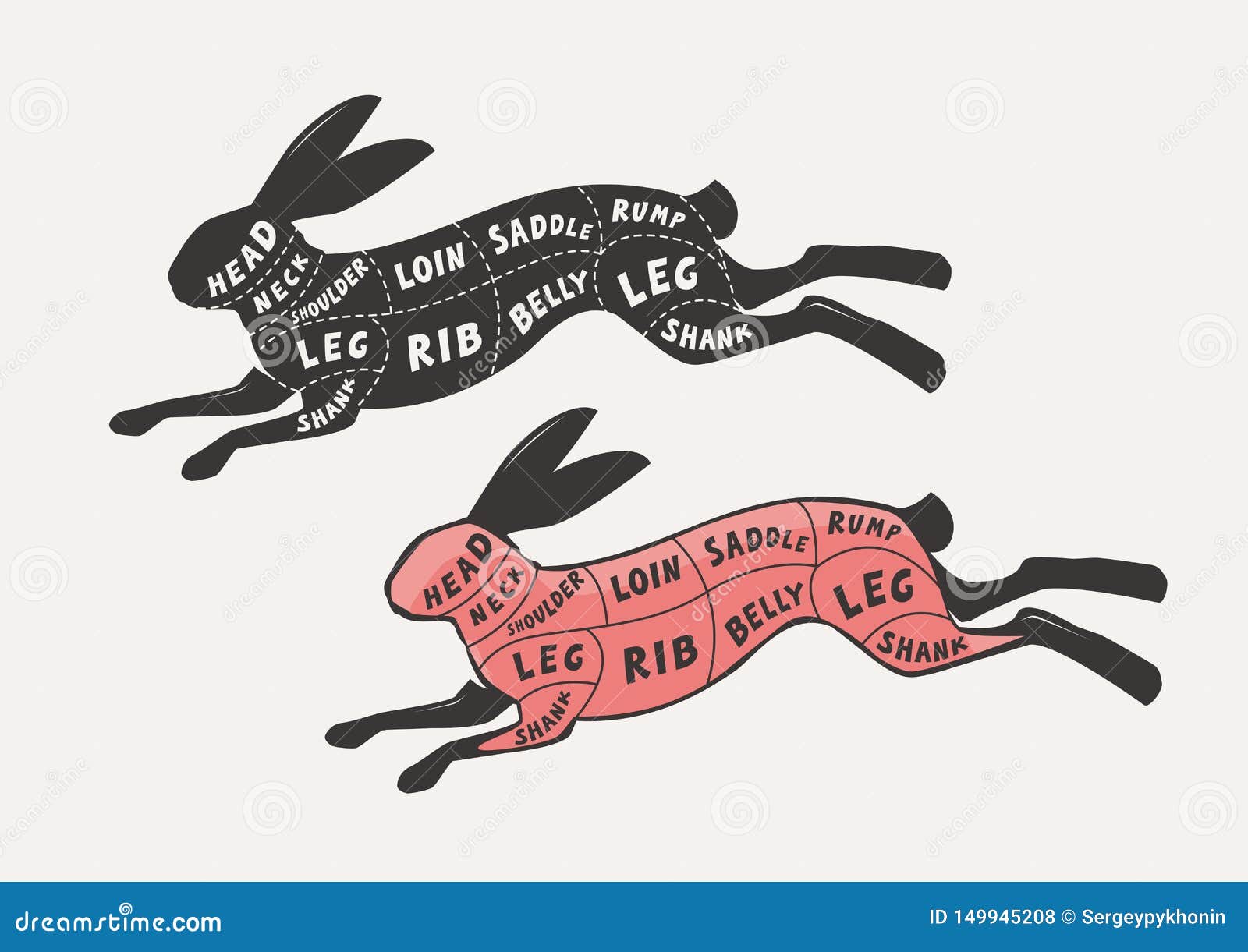 Cut Of Meat, Rabbit. Poster Butcher Diagram And Scheme, Vector ...