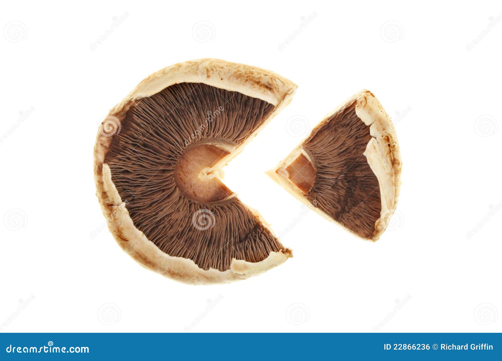 Cut mushroom stock photo. Image of chart, open, ingredient - 22866236