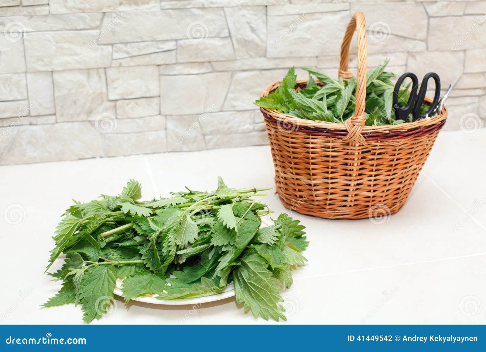 Cut Nettle Leaves in a Dish and Basket Stock Photo - Image of herbs ...