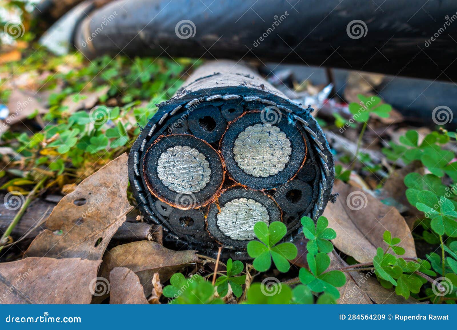 A Cut Off Fiber Cable Exposing Inside Wires and Components. India Stock ...