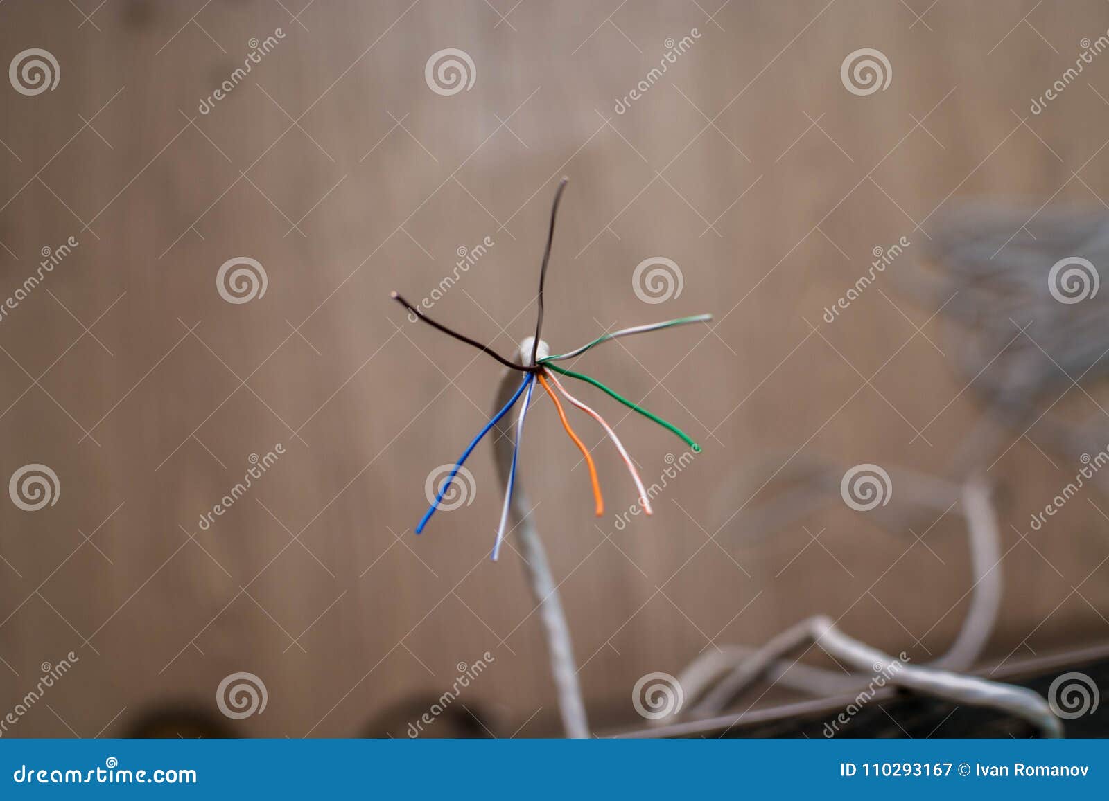 Ethernet Cable for a Local Network. Twisted-pair. Stock Image - Image ...