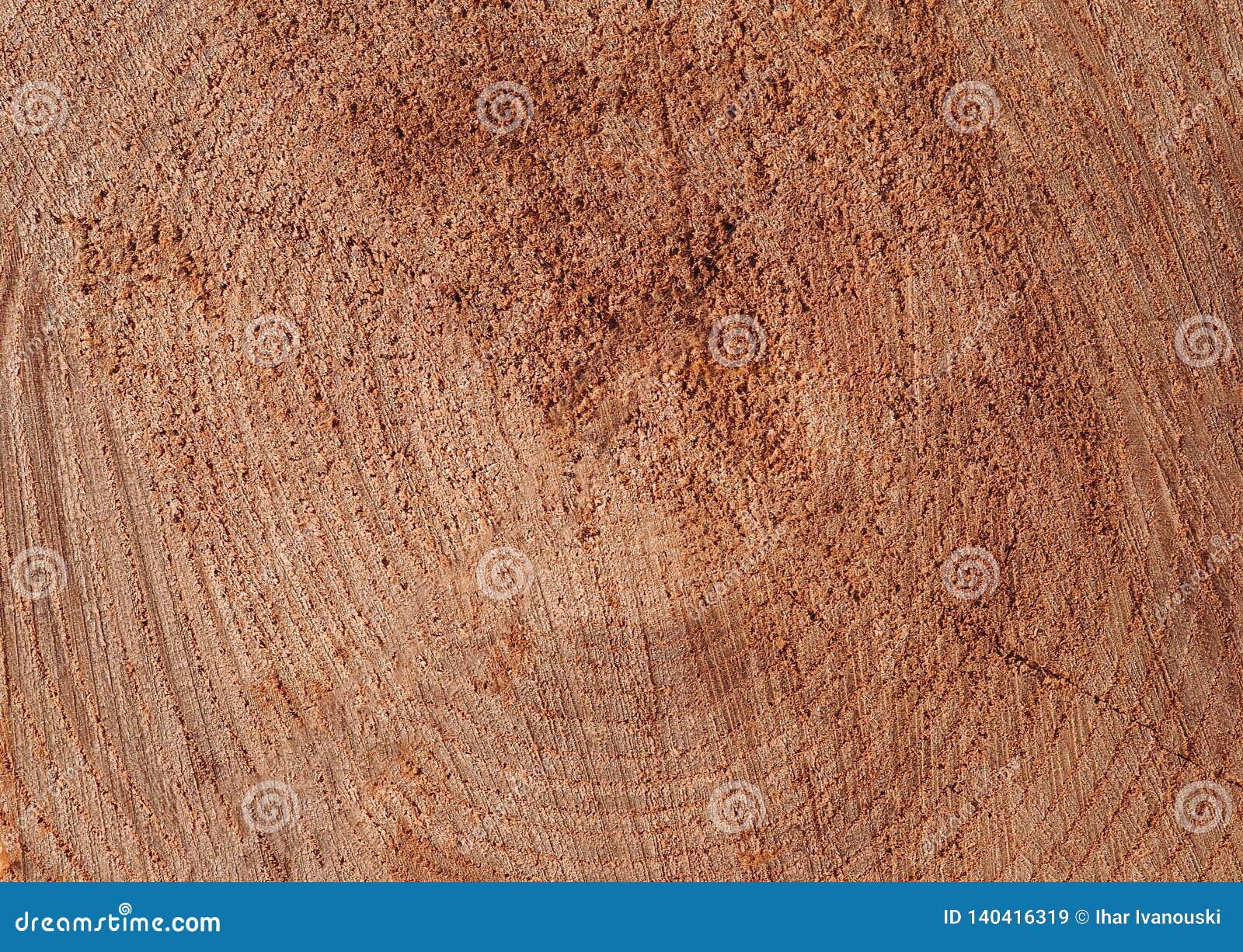 A Cut of an Old Log with Cracks Close-up Stock Image - Image of closeup ...