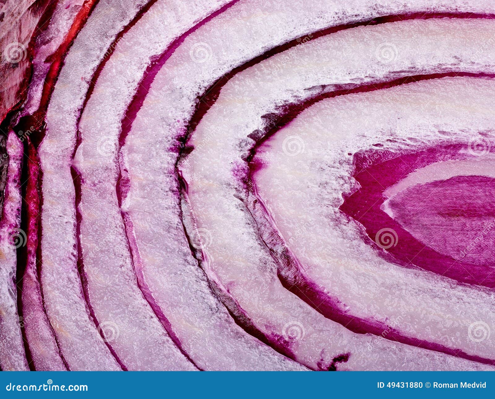 Cut onion texture stock photo. Image of root, heap, group - 49431880