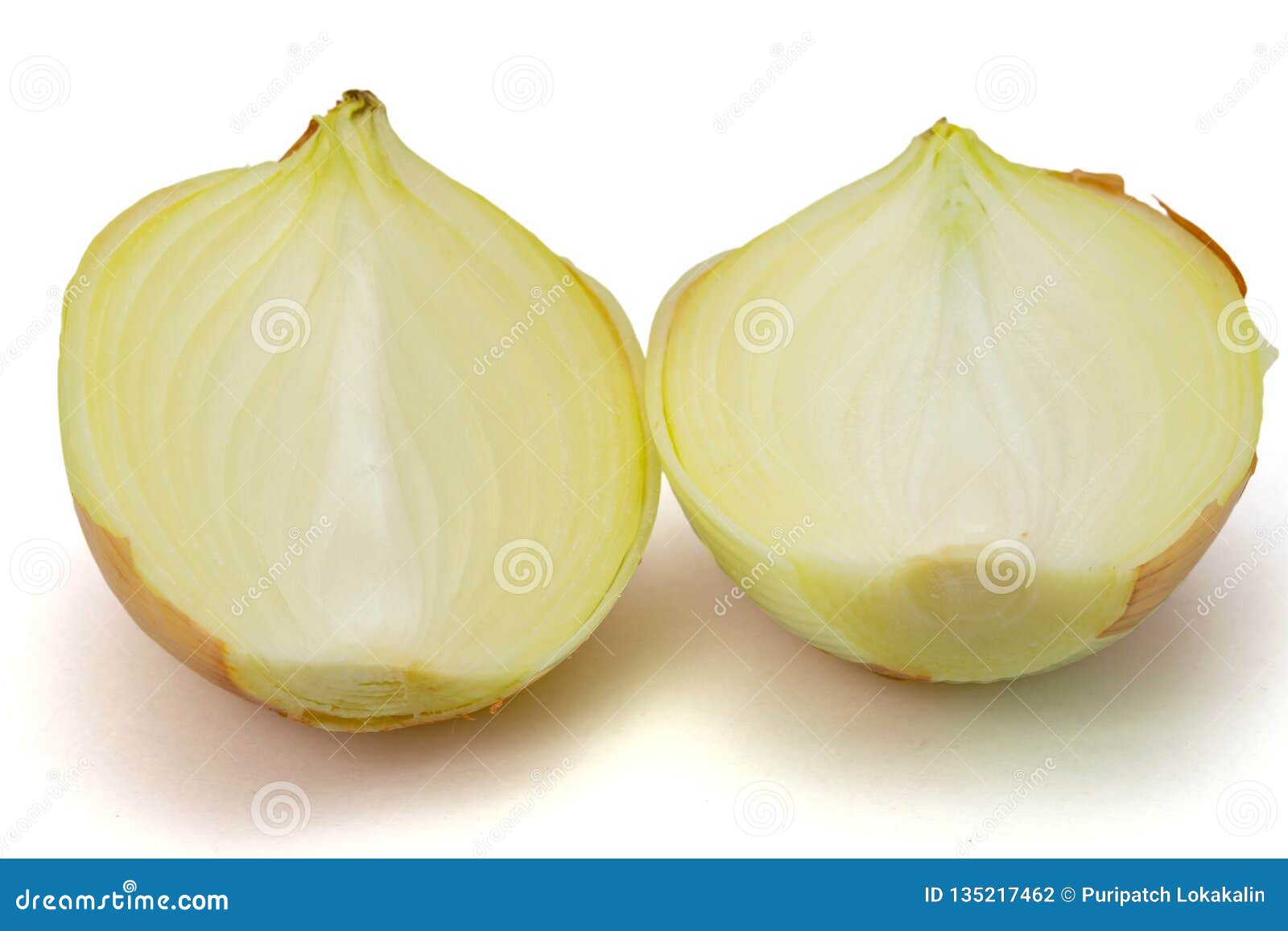 Cut Onions on the White Background Stock Photo - Image of background ...