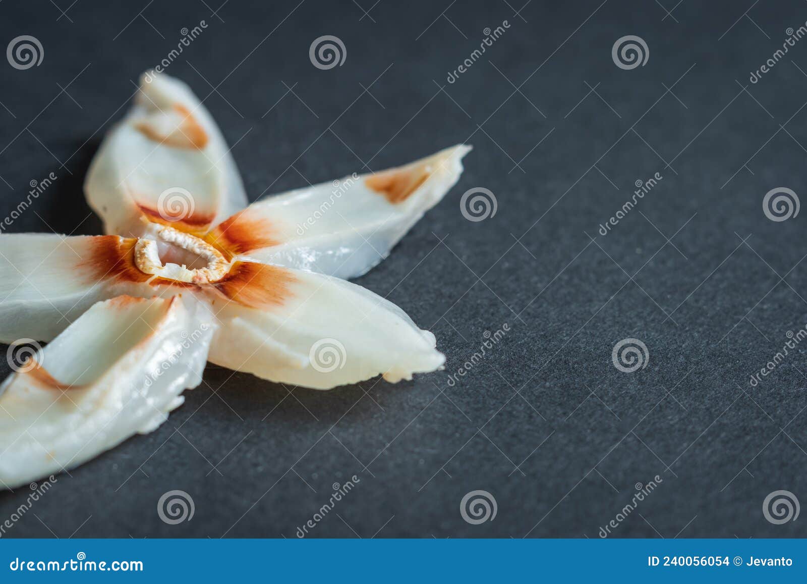Cut Open Fresh Lychee Fruit Slide Pan Stock Photo - Image of closeup ...
