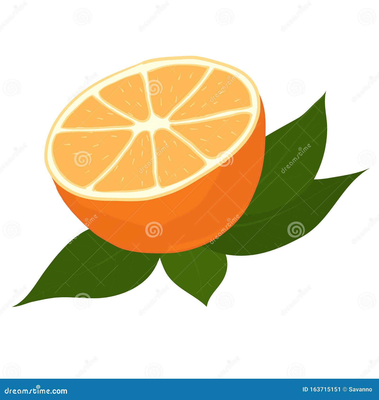 Cut orange with leaves. stock vector. Illustration of fruit - 163715151