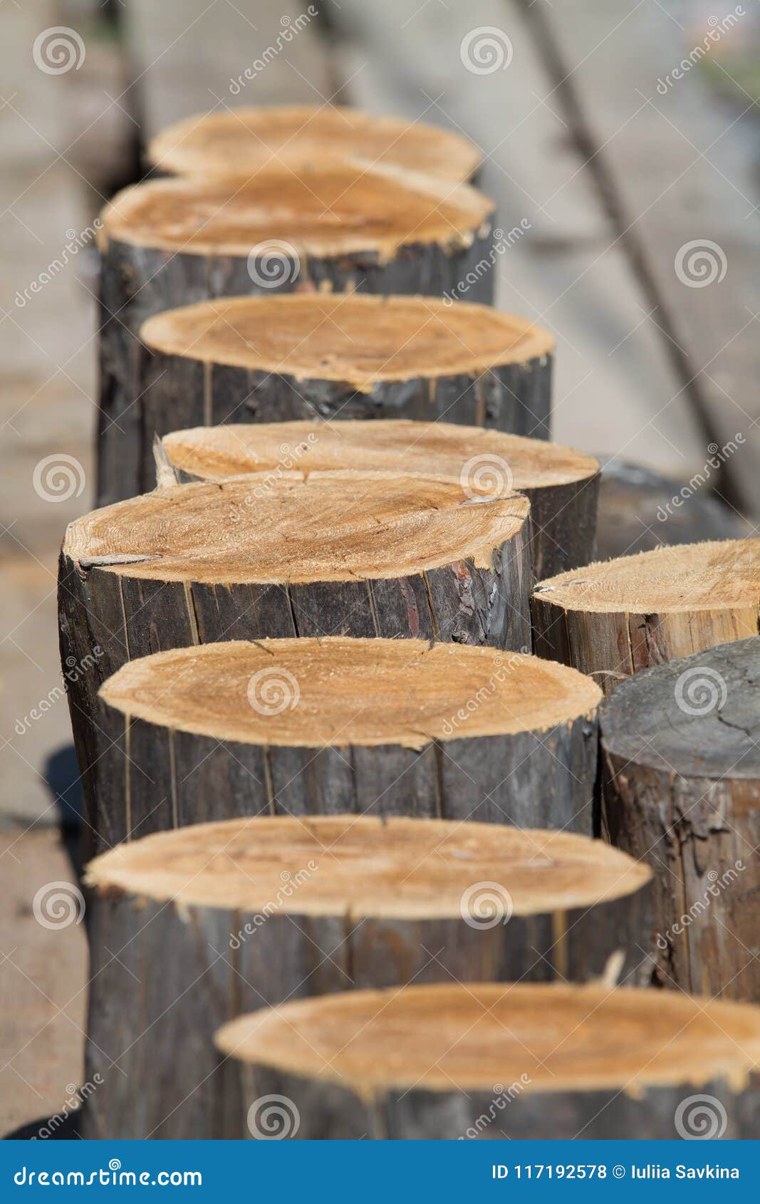 A cut log stock photo. Image of brown, closeup, abstract - 117192578