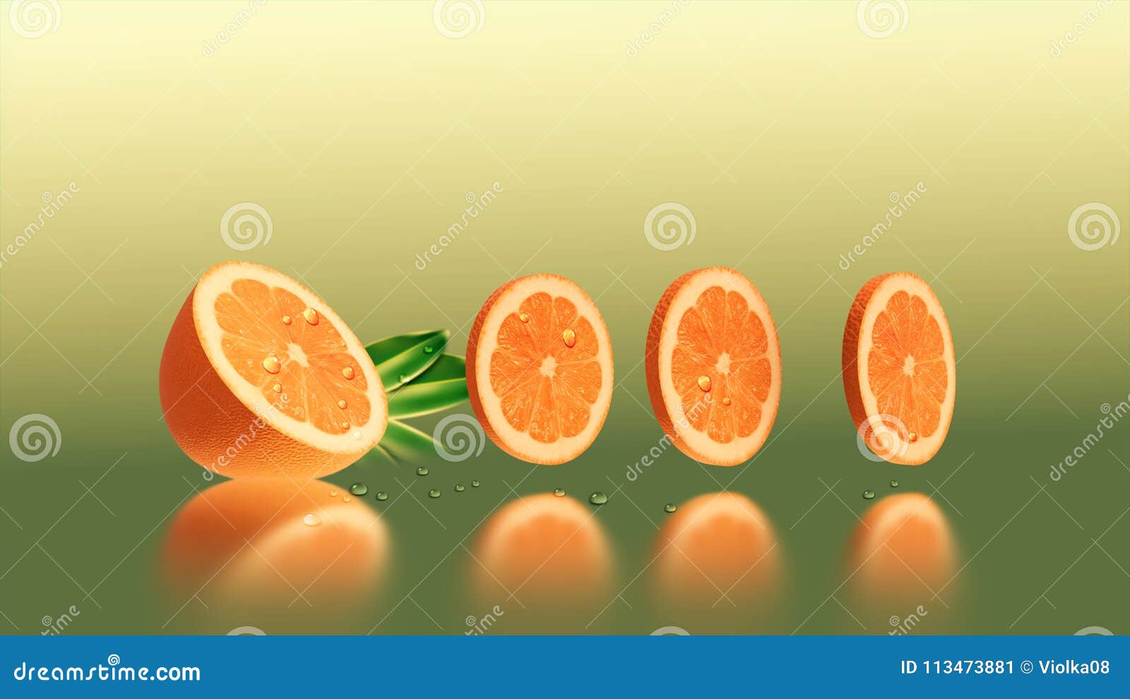 Cut Oranges Fruit with Reflection Stock Illustration - Illustration of ...