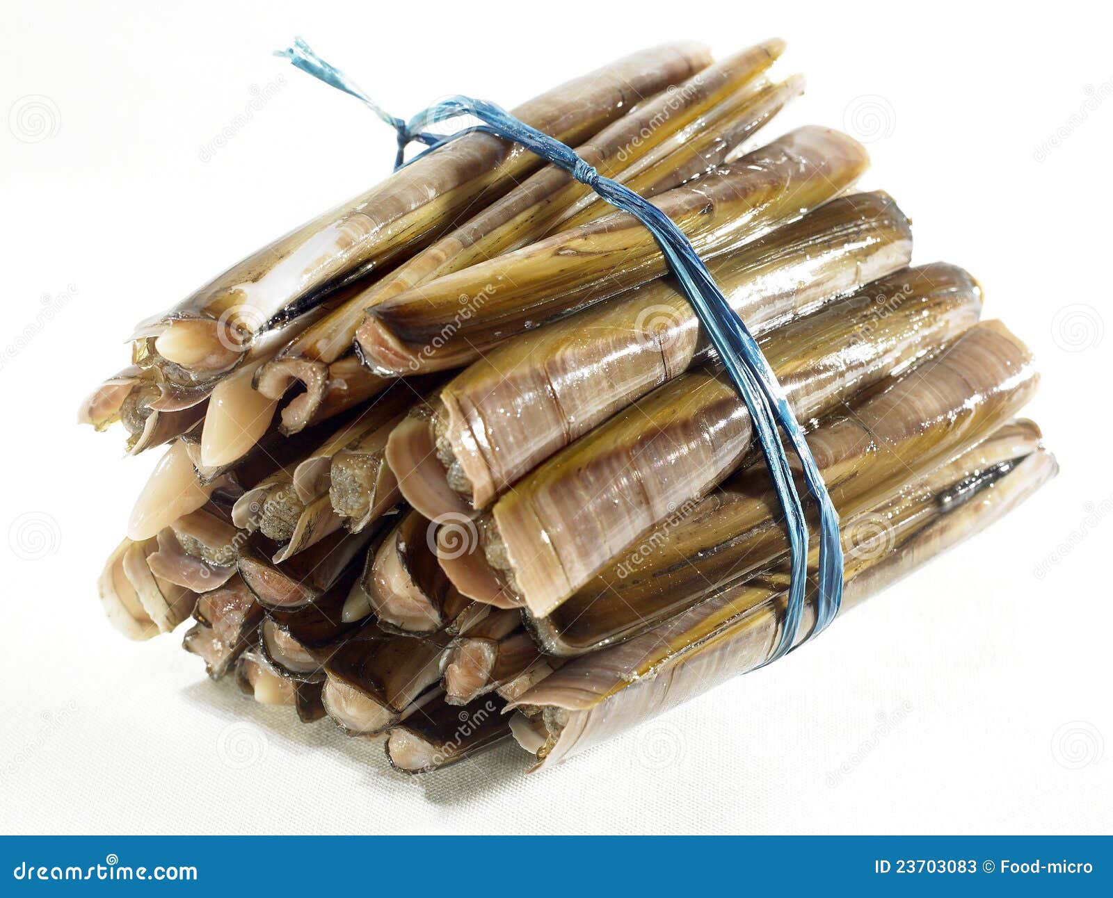 Cut-out Bundle of Razor Clams Stock Image - Image of seafood, color ...