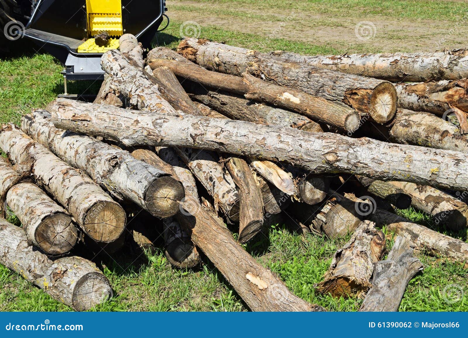 Cut out tree trunks stock photo. Image of ring, lumberjack - 61390062