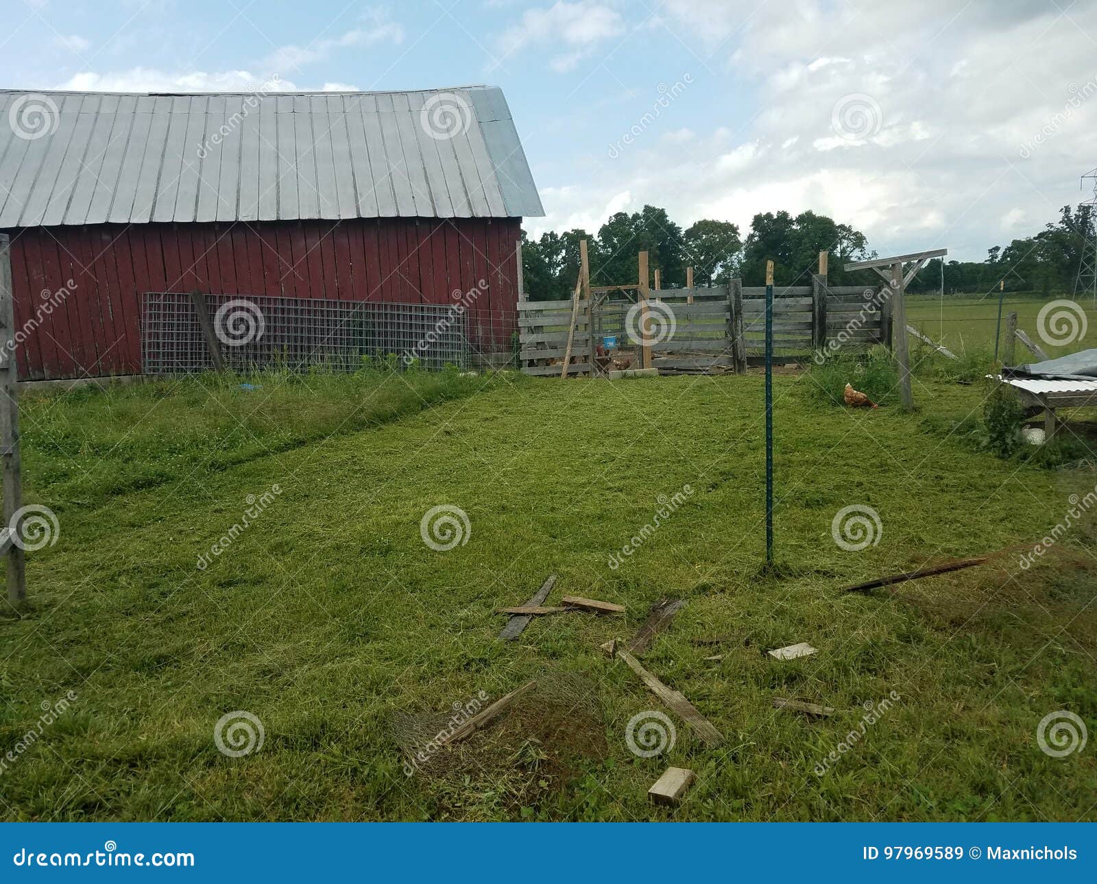 Cut a Path stock image. Image of green, landscape, summer - 97969589