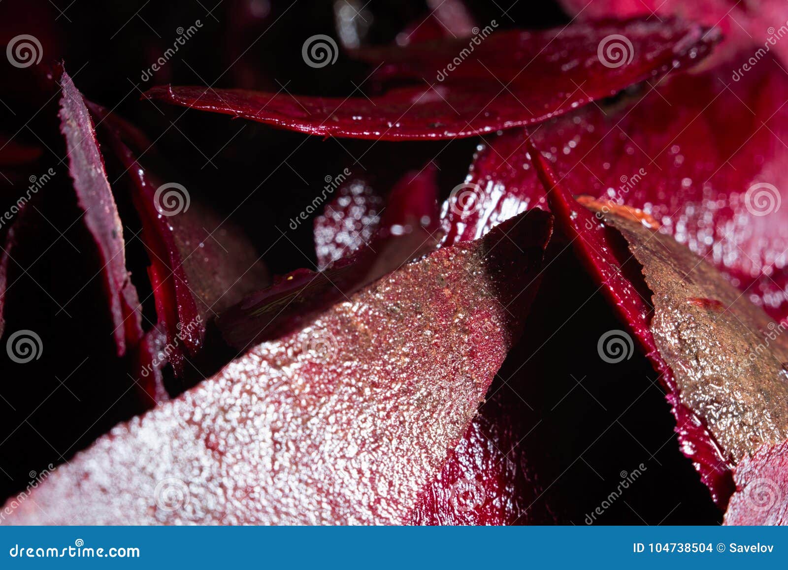 Cut the Peel of Beetroot Close Stock Photo - Image of fresh, organic ...