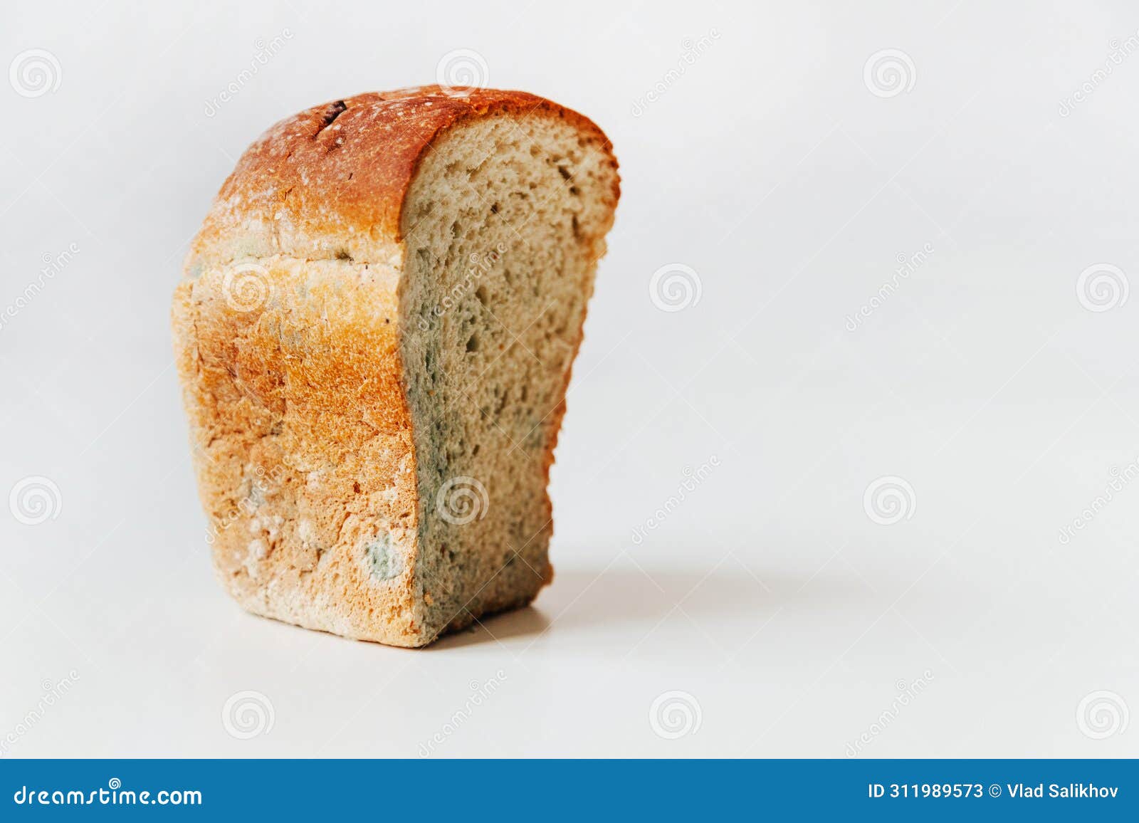 Cut Piece of Spoiled Wheat Bread with Mold Isolated on a White ...